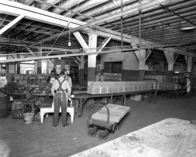 Alaga-plant-1 | ALAGA Syrup